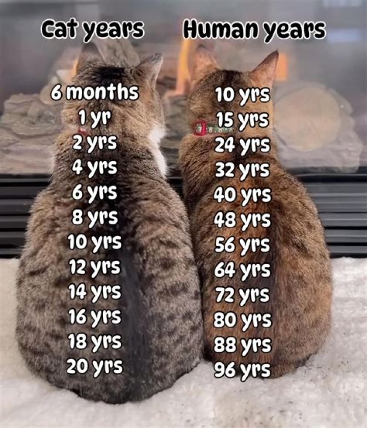 Che Ecru Age: How Old Is He? - Freedom Speaker