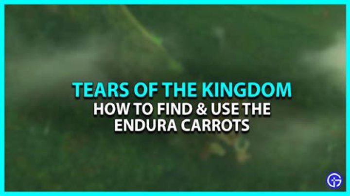 Where to find endura carrots - Freedom Speaker